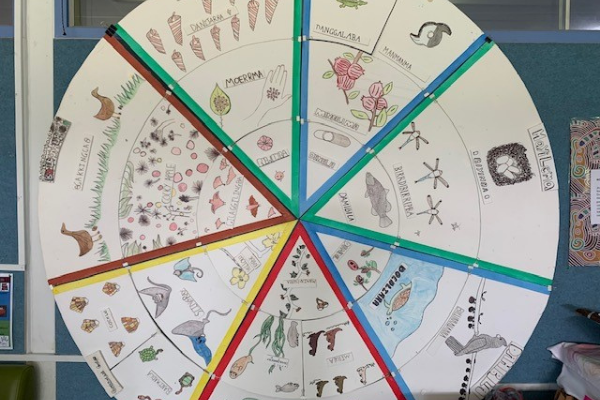 Jingili Primary School: Thriving in the tropics | Kitchen Garden