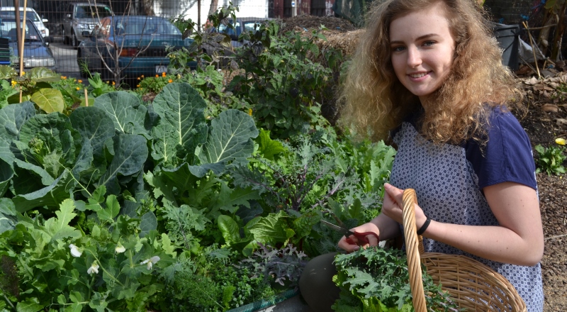Kitchen Garden | Secondary students grow in kitchen gardens too