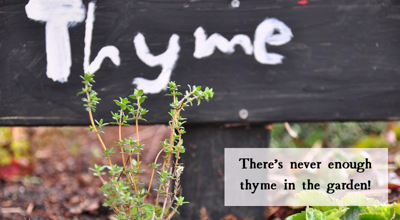 Kitchen Garden | Top 10 kitchen garden puns