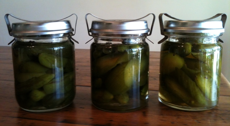 Kitchen Garden | 5 tips for preserving fruit and vegetables